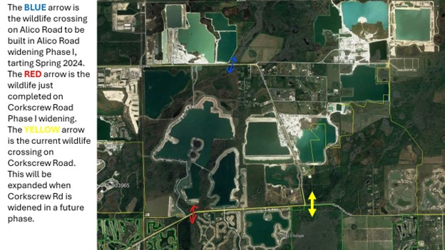 The Value of Wildlife Corridors and Crossings in Greater Estero ...